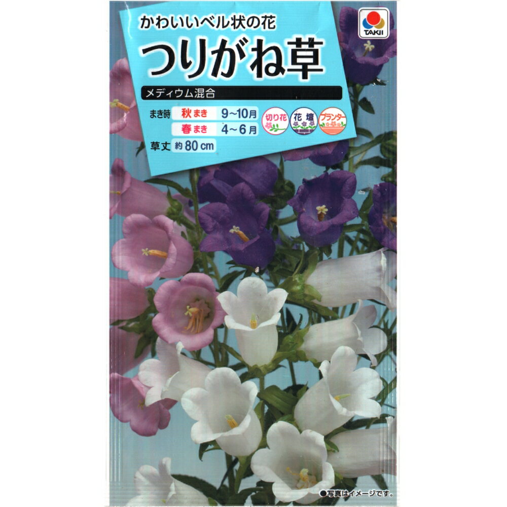 内容量：　0.6 ml 発芽率：　65 % 生産地： オランダ 3~4 cm のつりがね状の花をつけます 二年草で、春蒔きは翌年 秋蒔きは翌々年の開花になります