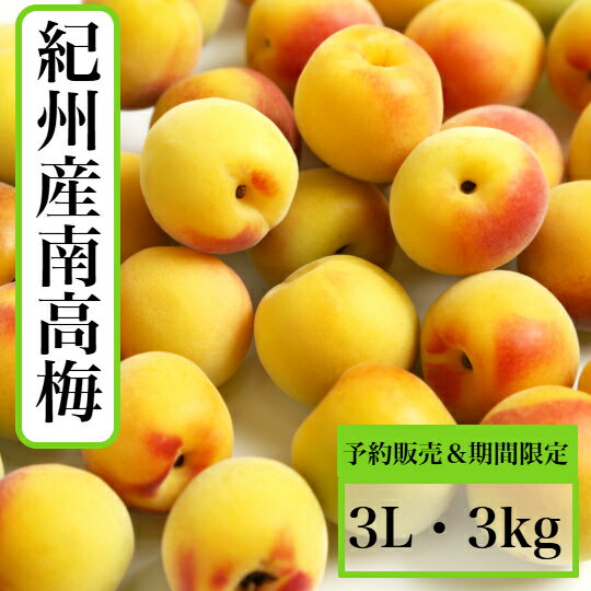 商品情報名称紀州 南高梅 完熟梅 秀品産地名和歌山県産内容量1箱：約3kg　約75~105個　　：約5kg　約125~175個　　：約10kg　約250~350個サイズ：3L（直径4.1cm~4.5cm）特徴南高梅は、果実は非常に大きく、種...