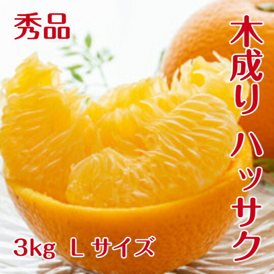 商品情報名称木成り はっさく 秀品産地名和歌山県内容量3Kg Lサイズ 約10個〜12個特徴甘味と酸味のバランスの取れたのが特徴。保存方法直射日光の当たらない、涼しいところで保管してください。のし対応「内のし」のみ対応。包装紙は、ご利用出来...