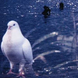 アオヤギタクジ キバン詳しい納期他、ご注文時はお支払・送料・返品のページをご確認ください発売日2021/12/8青柳拓次 / 輝板キバン ジャンル 邦楽ロック/ソウル 関連キーワード 青柳拓次紙ジャケット／オリジナル発売日：2021年12月...