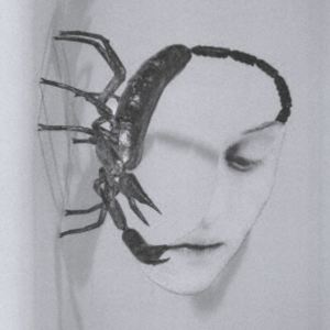 トータス タッチ詳しい納期他、ご注文時はお支払・送料・返品のページをご確認ください発売日2025/11/5関連キーワード：アルバムTortoise / Touchタッチ ジャンル 洋楽ロック 関連キーワード Tortoise90年代からポス...