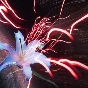 ノア ツムグテ ノバシタテ詳しい納期他、ご注文時はお支払・送料・返品のページをご確認ください発売日2015/4/28NORE / 紡ぐ手、伸ばした手ツムグテ ノバシタテ ジャンル 邦楽ロック/ソウル 関連キーワード NOREVo．Gtケース...