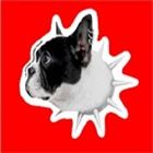 レモーベギャルソンヌ バライロノジンセイ詳しい納期他、ご注文時はお支払・送料・返品のページをご確認ください発売日2001/12/5Les MAUVAIS GARCONNES / バラ色の人生バライロノジンセイ ジャンル 邦楽J-POP 関連...