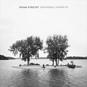 UNIVERSAL FAVORITE詳しい納期他、ご注文時はお支払・送料・返品のページをご確認ください発売日2017/3/3NOAM PIKELNY / UNIVERSAL FAVORITEノーム・ピケルニー / ユニバーサル・フェイバリッ...