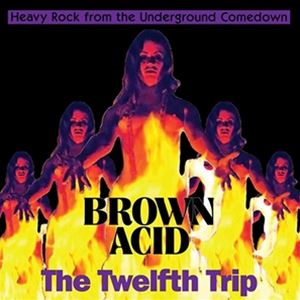 BROWN ACID - THE TWELFTH TRIP詳しい納期他、ご注文時はお支払・送料・返品のページをご確認ください発売日2021/4/16VARIOUS / BROWN ACID - THE TWELFTH TRIPヴァリアス /...