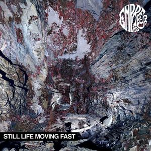 STILL LIFE MOVING FAST詳しい納期他、ご注文時はお支払・送料・返品のページをご確認ください発売日2014/9/2EMPRESS AD / STILL LIFE MOVING FASTエンプレスAD / スティル・ライフ・...