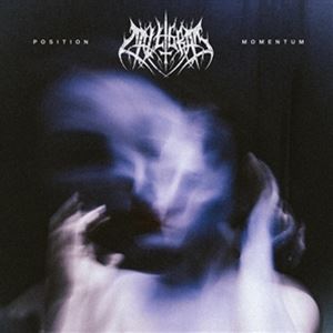 POSITION ／ MOMENTUM詳しい納期他、ご注文時はお支払・送料・返品のページをご確認ください発売日2023/7/28CALLIGRAM / POSITION ／ MOMENTUMカリグラム / ポジション・モメンタム ジャンル ...