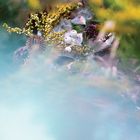 SUM／ONE詳しい納期他、ご注文時はお支払・送料・返品のページをご確認ください発売日2013/12/3bEEdEEgEE / SUM／ONEビーディージー / サム／ワン ジャンル 洋楽ロック 関連キーワード ビーディージーbEEdEEg...