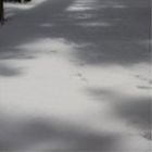 ムラタサトシ ニギタマ詳しい納期他、ご注文時はお支払・送料・返品のページをご確認ください発売日2013/6/15村田聡 / NIGITAMA（和靈）ニギタマ ジャンル イージーリスニングヒーリング/ニューエイジ 関連キーワード 村田聡※こち...