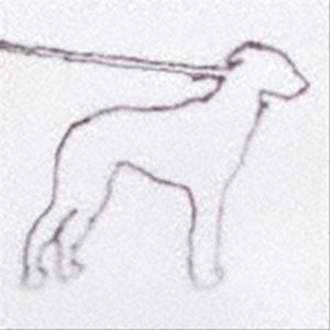 ジョナヤノ ポートレイト オブ ア ドッグ詳しい納期他、ご注文時はお支払・送料・返品のページをご確認ください発売日2023/3/8Jonah Yano / portrait of a dogポートレイト オブ ア ドッグ ジャンル 洋楽ポッ...