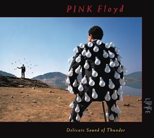 DELICATE SOUND OF THUNDER （LIVE）詳しい納期他、ご注文時はお支払・送料・返品のページをご確認ください発売日2017/11/17関連キーワード：Pink Floyd PinkFloydPINK FLOYD / D...