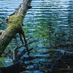 スガワラカズキ ウェア ウィンド アライゼス詳しい納期他、ご注文時はお支払・送料・返品のページをご確認ください発売日2021/10/27菅原一樹 / Where wind arisesウェア ウィンド アライゼス ジャンル 邦楽J-POP ...