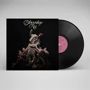 BLOWNBOY RU詳しい納期他、ご注文時はお支払・送料・返品のページをご確認ください発売日2025/9/5RUGER / BLOWNBOY RUルガー / ブロウンボーイ・アールユー ジャンル 洋楽ワールドミュージックその他 関連キーワ...