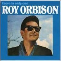 THERE IS ONLY ONE ROY詳しい納期他、ご注文時はお支払・送料・返品のページをご確認ください発売日2008/9/18ROY ORBISON / THERE IS ONLY ONE ROYロイ・オービソン / ゼア・イズ・オン...