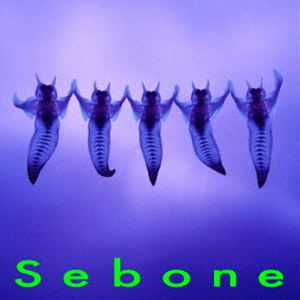 トタ セボネ セキズイバン詳しい納期他、ご注文時はお支払・送料・返品のページをご確認ください発売日2026/3/25関連キーワード：アルバム セボーン PCCA.06464 PCCA-06464とた / Sebone -脊髄盤-セボネ セキ...