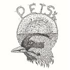 ペット ペッツ詳しい納期他、ご注文時はお支払・送料・返品のページをご確認ください発売日2010/3/8ペッツ / ペッツペッツ ジャンル 洋楽ロック 関連キーワード ペッツデジパック／ボーナストラック収録※こちらの商品はインディーズ盤のため...