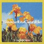 ティースクェア スウイートアンドジエントル詳しい納期他、ご注文時はお支払・送料・返品のページをご確認ください発売日2002/2/14関連キーワード：Tスクェア スクェア Sweet&amp;Gentle スウィートアンドジェントル スイート...