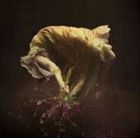 SAVE YOUR SEASON詳しい納期他、ご注文時はお支払・送料・返品のページをご確認ください発売日2012/5/24ミント・ジュレップ / Save Your SeasonSAVE YOUR SEASON ジャンル 洋楽ロック 関連キ...