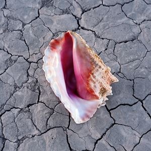 WONDERFUL WONDERFUL （DELUXE ／ INTERNATIONAL MINTPAK）詳しい納期他、ご注文時はお支払・送料・返品のページをご確認ください発売日2017/9/22KILLERS / WONDERFUL WON...