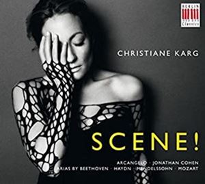 SCENE!詳しい納期他、ご注文時はお支払・送料・返品のページをご確認ください発売日2015/6/1CHRISTIANE KARG / SCENE!クリスティアーネ・カルク / シーン その瞬間の場面 ジャンル クラシックその他 関連キーワ...