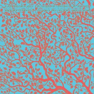 RIVER WITHOUT BANKS詳しい納期他、ご注文時はお支払・送料・返品のページをご確認ください発売日2019/8/23LEO SVIRSKY / RIVER WITHOUT BANKSレオ・スヴァースキー / リヴァー・ウィズアウ...