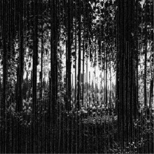 イアータッカー ハーモニクス詳しい納期他、ご注文時はお支払・送料・返品のページをご確認ください発売日2019/3/15Eartaker / Harmonicsハーモニクス ジャンル イージーリスニングヒーリング/ニューエイジ 関連キーワード...