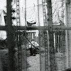 マッカートニー ポール ケイオス アンド クリエイション イン ザ バックヤード ウラニワノコントントソウゾウ詳しい納期他、ご注文時はお支払・送料・返品のページをご確認ください発売日2011/8/17関連キーワード：ポールマッカートニー P...