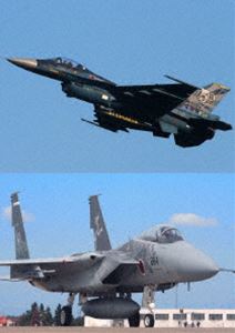 詳しい納期他、ご注文時はお支払・送料・返品のページをご確認ください発売日2018/9/4特別塗装機 コレクション Vol.2 ジャンル 趣味・教養ミリタリー 監督 出演 2010年以降、全国各地で開催された航空祭より、航空自衛隊の記念塗装機...