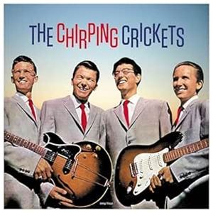 CHIRPING CRICKETS詳しい納期他、ご注文時はお支払・送料・返品のページをご確認ください発売日2024/3/8CRICKETS / CHIRPING CRICKETSクリケッツ / チャーピング・クリケッツ ジャンル 洋楽ロック...