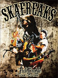 詳しい納期他、ご注文時はお支払・送料・返品のページをご確認ください発売日2015/8/5SKA FREAKS／Indefinable TOUR 14-15 FINAL ジャンル 音楽邦楽ロック 監督 出演 SKA FREAKS 種別 DVD...