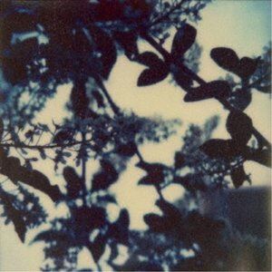 チヘイハタケヤマ ヒューウェルズ スティン ジョウド詳しい納期他、ご注文時はお支払・送料・返品のページをご確認ください発売日2019/6/12Chihei Hatakeyama ＋ Stijn Huwels / Jodoジョウド ジャンル ...