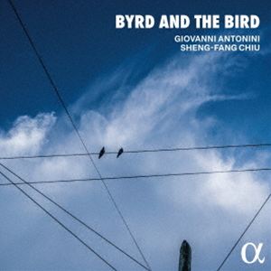 リコーダー デュエットシュウ詳しい納期他、ご注文時はお支払・送料・返品のページをご確認ください発売日2026/4/24関連キーワード：（Classical Compilations） NYCX10590 アルバム（クラシック） / リコーダ...