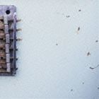 フジファブリック ミュージック詳しい納期他、ご注文時はお支払・送料・返品のページをご確認ください発売日2010/7/28関連キーワード：アルバムフジファブリック / MUSIC（通常盤）ミュージック ジャンル 邦楽ロック/ソウル 関連キーワ...