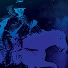 INSTRUMENTAL TOURIST詳しい納期他、ご注文時はお支払・送料・返品のページをご確認ください発売日2012/11/19TIM HECKER / INSTRUMENTAL TOURISTティム・ヘッカー / イントゥルメンタル・...
