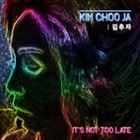 IT’S NOT TOO LATE詳しい納期他、ご注文時はお支払・送料・返品のページをご確認ください発売日2014/4/24KIM CHOO JA / IT’S NOT TOO LATEキム・チュジャ / イッツ・ノット・トゥー・レイト ジ...