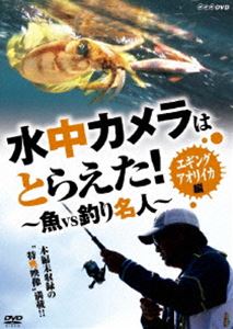 詳しい納期他、ご注文時はお支払・送料・返品のページをご確認ください発売日2009/9/25水中カメラはとらえた! 魚VS釣り名人 エギング アオリイカ編 ジャンル 趣味・教養その他 監督 出演 釣りの醍醐味である魚と釣り名人との“駆け引き”...