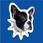 レモーベギャルソンヌ アイドルオサガセ詳しい納期他、ご注文時はお支払・送料・返品のページをご確認ください発売日2001/10/3Les MAUVAIS GARCONNES / アイドルを探せ LA PLUS BELLE POUR ALLER...