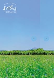 1ST MINI ALBUM ： FOREST： ENTRANCE （SILVER VER.）詳しい納期他、ご注文時はお支払・送料・返品のページをご確認ください発売日2020/6/9SEO EUN KWANG （BTOB） / 1ST MI...