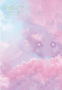 1ST MINI ALBUM ： FOREST： ENTRANCE （LIGHT VER.）詳しい納期他、ご注文時はお支払・送料・返品のページをご確認ください発売日2020/6/9SEO EUN KWANG （BTOB） / 1ST MIN...