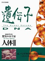詳しい納期他、ご注文時はお支払・送料・返品のページをご確認ください発売日2003/10/24驚異の小宇宙 人体III 遺伝子 DNA 第6集 ジャンル 国内TVドキュメンタリー 監督 出演 古屋和雄人間の体内で起こるさまざまなドラマを、実写...