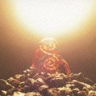 サンドラム サンドリーミング詳しい納期他、ご注文時はお支払・送料・返品のページをご確認ください発売日2012/7/4SUNDRUM / Sundreamingサンドリーミング ジャンル 邦楽J-POP 関連キーワード SUNDRUMMUDI...