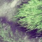 オンアンオン ギブ イン詳しい納期他、ご注文時はお支払・送料・返品のページをご確認ください発売日2013/1/23オン・アン・オン / GIVE IN（期間限定盤）ギブ イン ジャンル 洋楽ロック 関連キーワード オン・アン・オンTugbo...