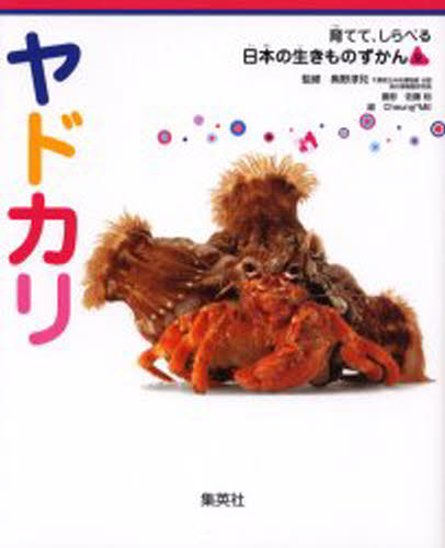 奥野淳児／監修 佐藤裕／撮影 Cheung＊ME／絵育てて、しらべる日本の生きものずかん 9本詳しい納期他、ご注文時はご利用案内・返品のページをご確認ください出版社名集英社出版年月2006年02月サイズ39P 27cmISBNコード9784...