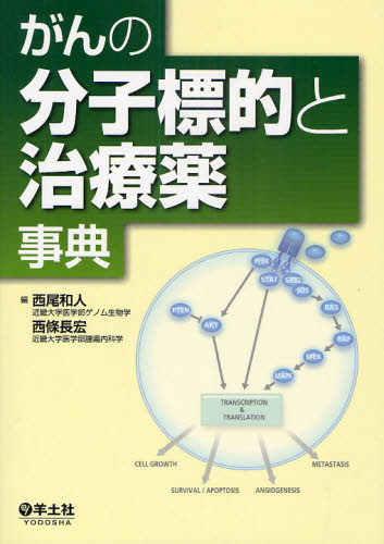 西尾和人／編 西條長宏／編本詳しい納期他、ご注文時はご利用案内・返品のページをご確認ください出版社名羊土社出版年月2010年10月サイズ346P 26cmISBNコード9784758120166医学 臨床医学一般 癌・腫瘍一般がんの分子標的...