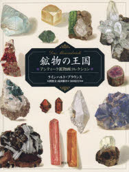 ラインハルト・ブラウンス／著 大野照文／訳 高田雅介／訳本詳しい納期他、ご注文時はご利用案内・返品のページをご確認ください出版社名創元社出版年月2026年05月サイズ221P 25cmISBNコード9784422440507理学 地学 地質...