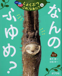 斎木健一／監修 白坂洋一／監修本詳しい納期他、ご注文時はご利用案内・返品のページをご確認ください出版社名ポプラ社出版年月2024年04月サイズ39P 27cmISBNコード9784591180648児童 学習 動物・植物・魚・虫つぼみ たね...