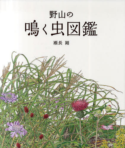 瀬長剛／絵・文本詳しい納期他、ご注文時はご利用案内・返品のページをご確認ください出版社名偕成社出版年月2010年10月サイズ187P 29cmISBNコード9784039711809児童 学習図鑑 学習図鑑その他野山の鳴く虫図鑑ノヤマ ノ ...