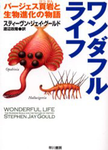 スティーヴン・ジェイ・グールド／著 渡辺政隆／訳ハヤカワ文庫 NF 236本詳しい納期他、ご注文時はご利用案内・返品のページをご確認ください出版社名早川書房出版年月2000年03月サイズ602P 16cmISBNコード97841505023...