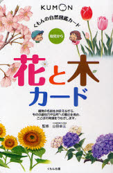 山田卓三／監修くもんの自然図鑑カード本詳しい納期他、ご注文時はご利用案内・返品のページをご確認ください出版社名くもん出版出版年月2007年10月サイズ32枚 20cmISBNコード9784774313146児童 知育絵本 カード花と木カード...