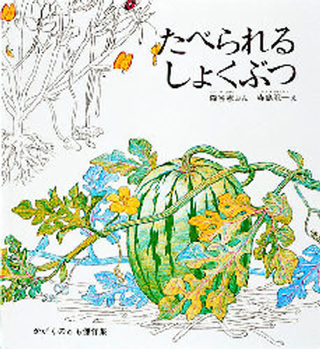 森谷憲／ぶん 寺島竜一／えかがくのとも傑作集 どきどきしぜん本詳しい納期他、ご注文時はご利用案内・返品のページをご確認ください出版社名福音館書店出版年月1992年サイズ22P 26cmISBNコード9784834003161児童 学習 宇宙...